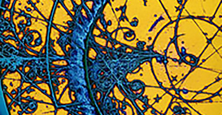 Annenberg Learner - Annenberg Learner