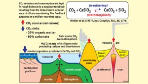 Online Textbook - Annenberg Learner