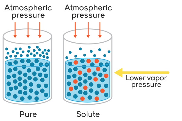 When Chemicals Meet Water: The Properties of Solutions - Annenberg Learner