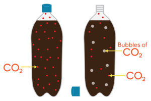 When Chemicals Meet Water: The Properties of Solutions - Annenberg Learner