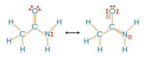 Making Molecules: Lewis Structures and Molecular Geometries - Annenberg ...