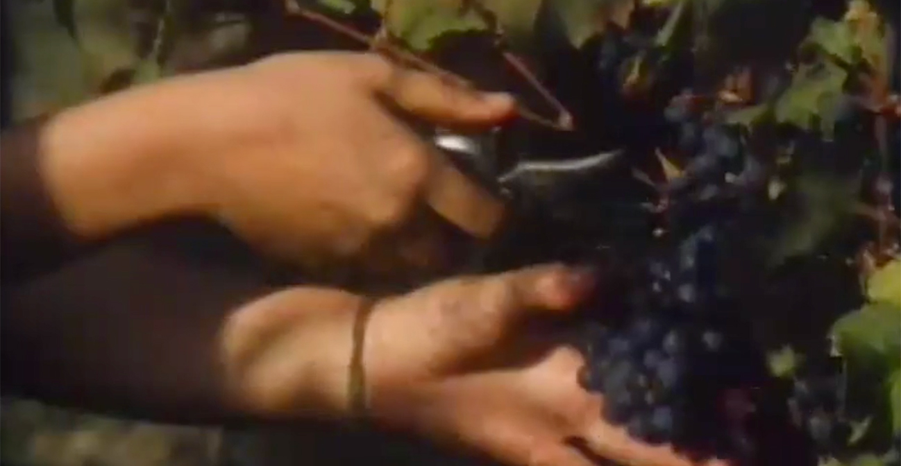 Habitat III - Annenberg Learner