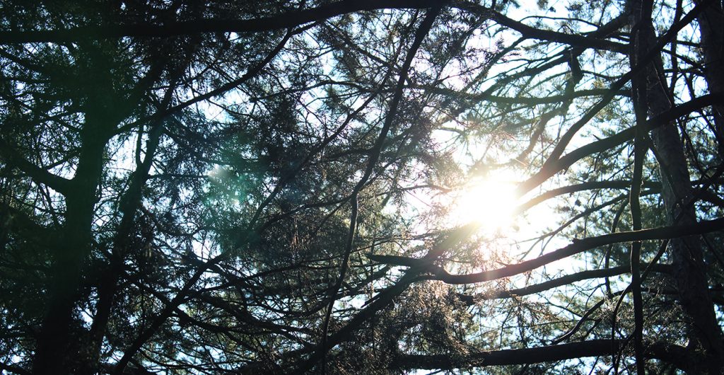 Biodiversity Decline - Annenberg Learner