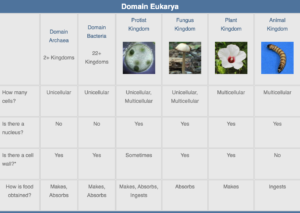Classifying Living Things | A Closer Look - Annenberg Learner