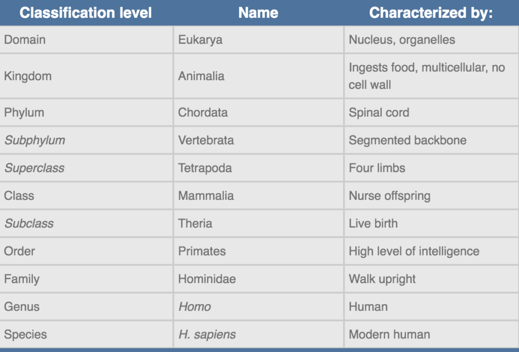 Sapiens Classification Chart - Ponasa