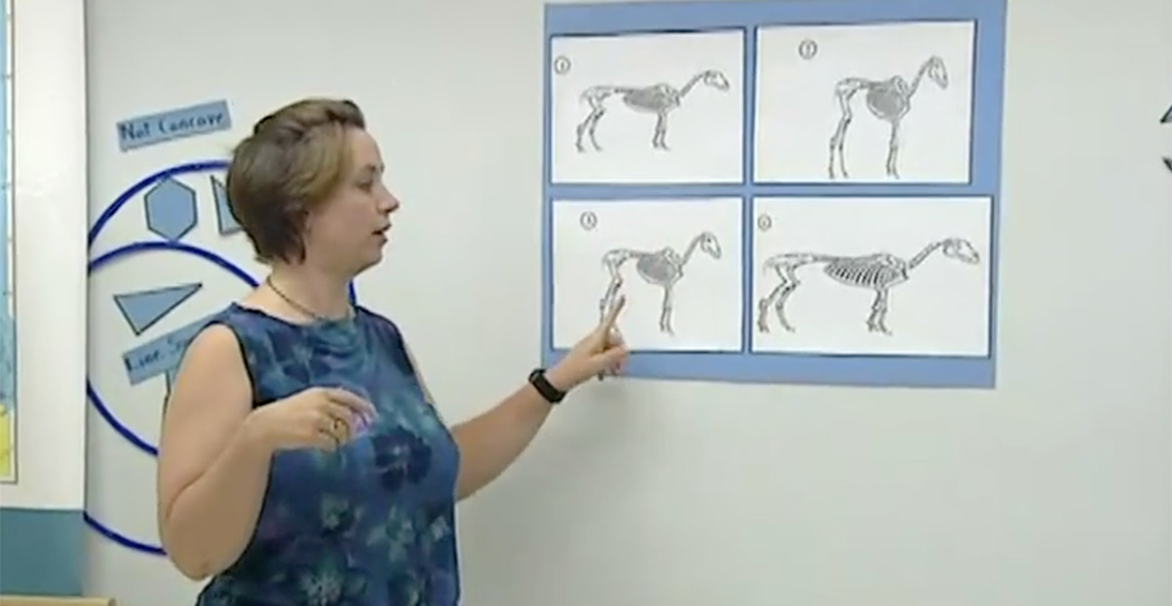 Similarity - Annenberg Learner