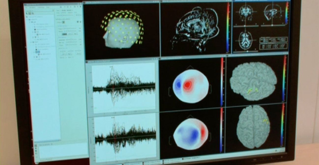 Tools of Neuroscience: MEG - Annenberg Learner