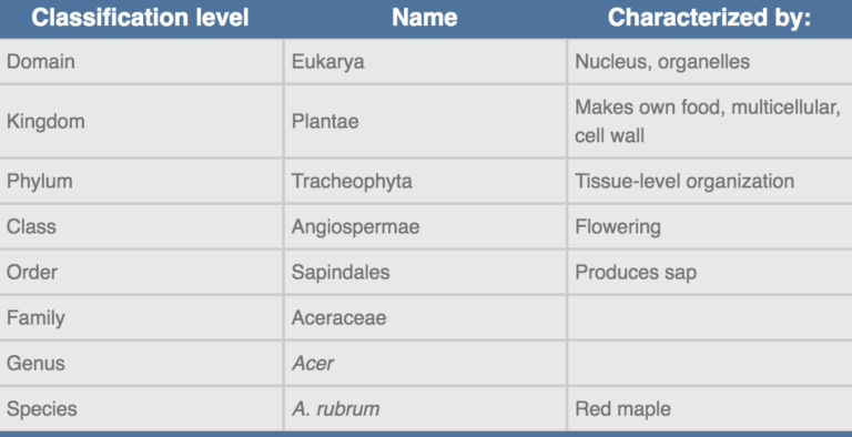 Classifying Living Things | A Closer Look - Annenberg Learner