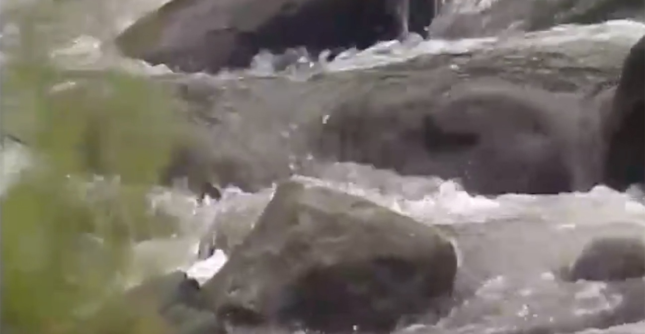 Running Water II: Landscape Evolution - Annenberg Learner