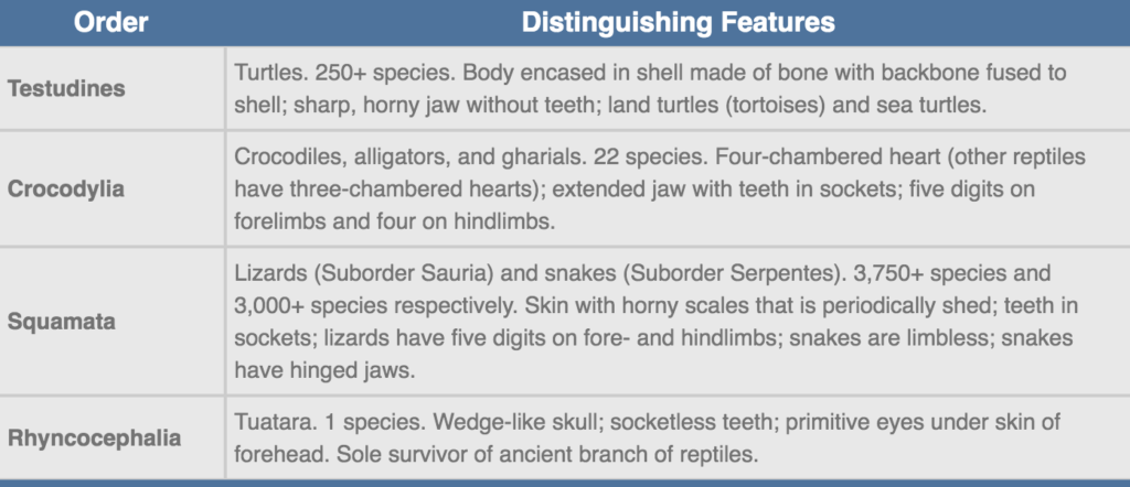 Evolution and the Tree of Life: A Closer Look - Annenberg Learner