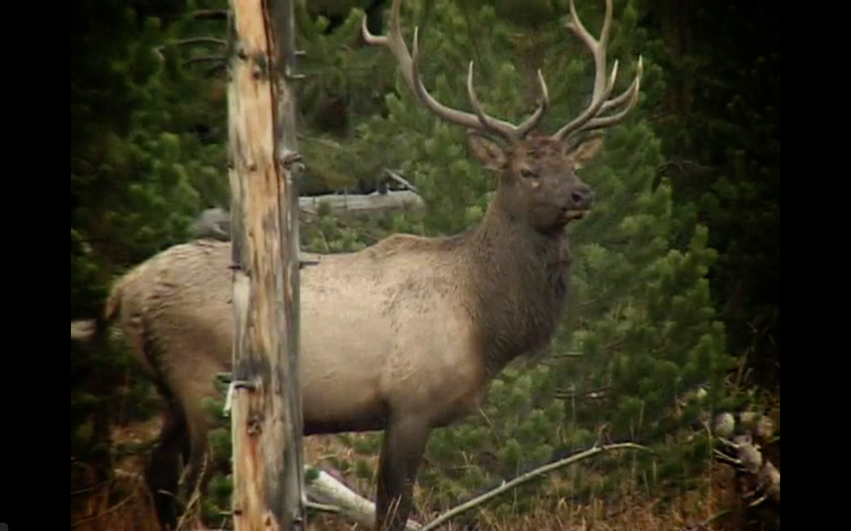 Ecology Lab - Annenberg Learner