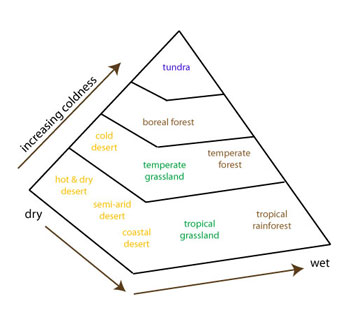 Online Textbook - Annenberg Learner