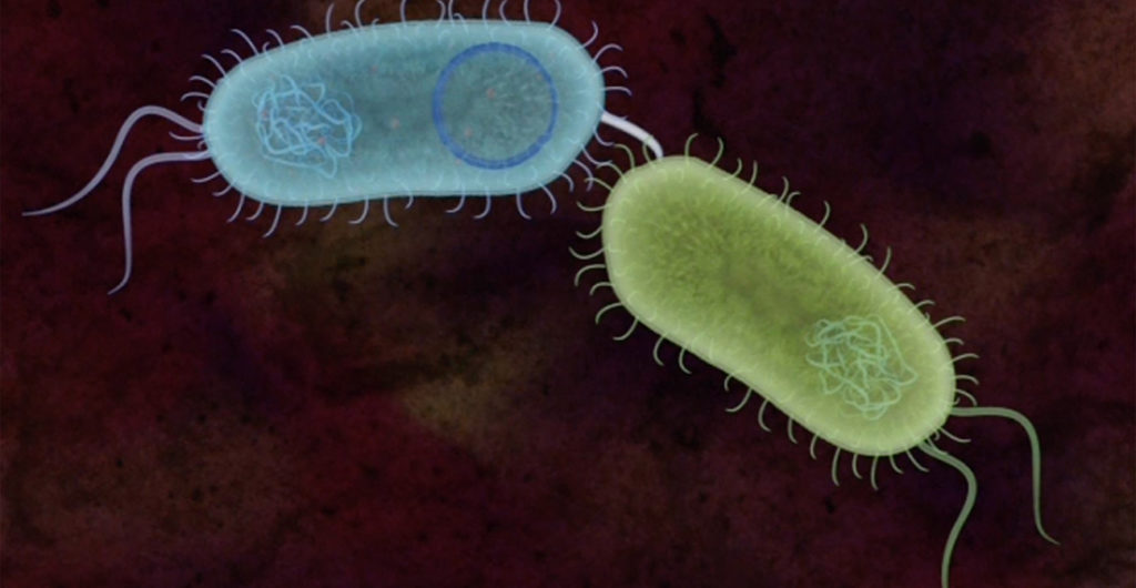 Emerging Infectious Diseases - Annenberg Learner